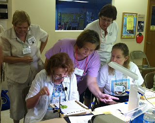 Stitching the Night Away in Illinois: Stitching With Kay Stanis